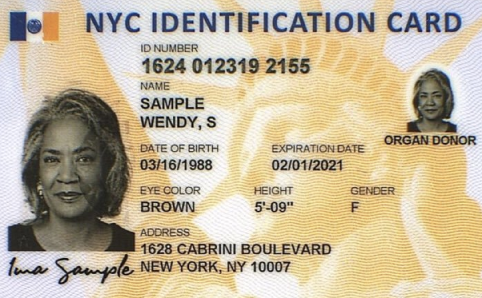 Como sacar el ID de la ciudad de NY: Método para obtenerlo ※